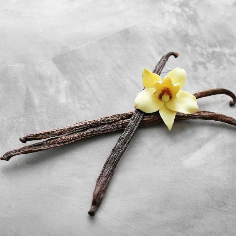 Vanilya Çubuğu Nedir ve Özellikleri Nelerdir?