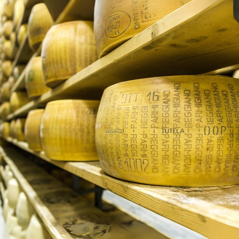 İşletmeler İçin Parmesan Tekeri Satın Alma Rehberi